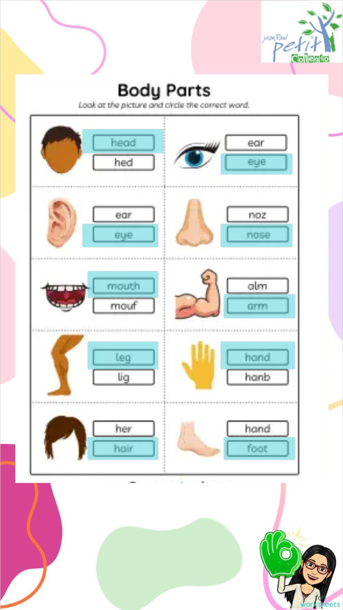 Body Parts 1ro Ficha Interactiva Topworksheets