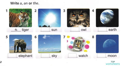 am / is / are questions additional 1. Interactive worksheet | TopWorksheets