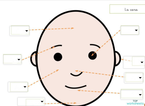 LAS PARTES DE LA CARA. Ficha interactiva | TopWorksheets