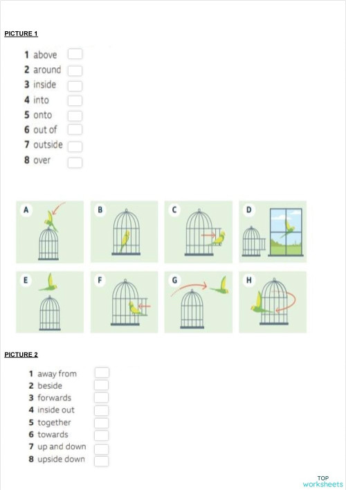 Prepositions of location and movement. Ficha interactiva | TopWorksheets
