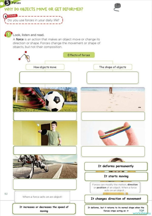 Science | Size. Interactive worksheet | TopWorksheets