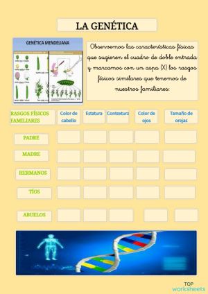 LA GENÉTICA. Ficha interactiva | TopWorksheets