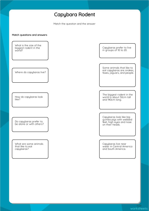 Capybara Rodent. Interactive worksheet | TopWorksheets