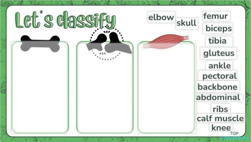 Science - Bones, joints and muscles. Interactive worksheet | TopWorksheets