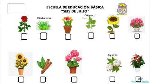 LAS PLANTAS. Ficha interactiva | TopWorksheets