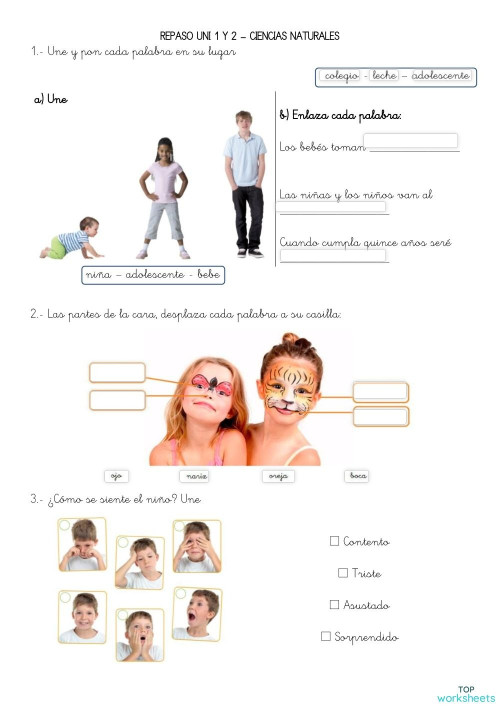 Repaso Unidad 1 y 2 - Ciencias Naturales. Ficha interactiva | TopWorksheets