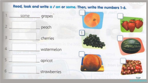 a-an / some. Interactive worksheet | TopWorksheets