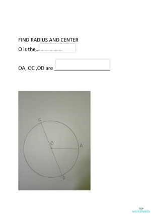 CENTER AND RADIUS. Interactive worksheet | TopWorksheets