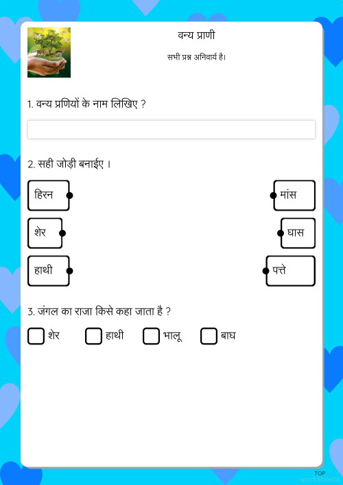 Interactive worksheets and online exercises in india | TopWorksheets