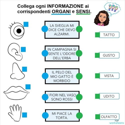 ORGANI e SENSI. Scheda interattiva | TopWorksheets