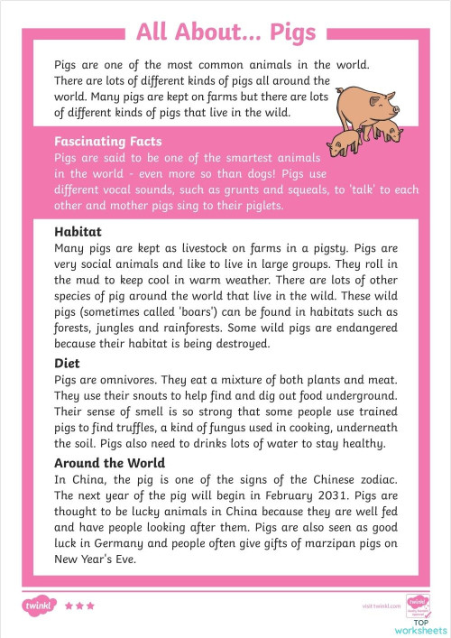 All about Pigs. Interactive worksheet | TopWorksheets
