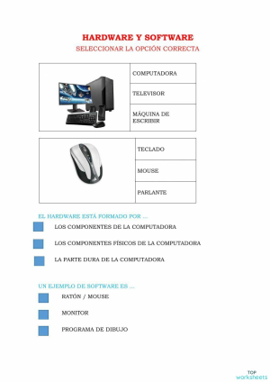 Hardware y software . Ficha interactiva | TopWorksheets