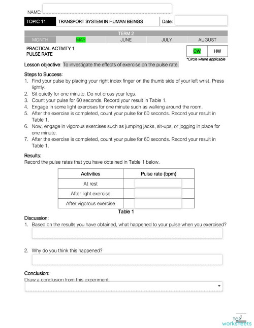 Pulse rate. Interactive worksheet | TopWorksheets