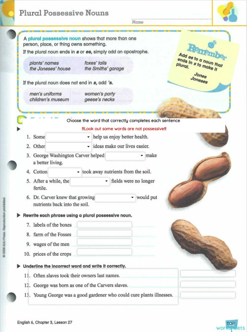 Lesson 27: Plural Possessive Nouns Pg 53. Interactive worksheet ...