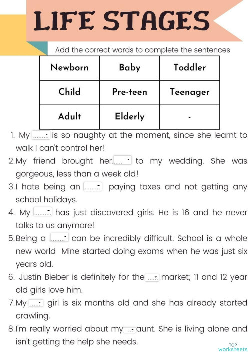 Life stages vocab. Interactive worksheet | TopWorksheets