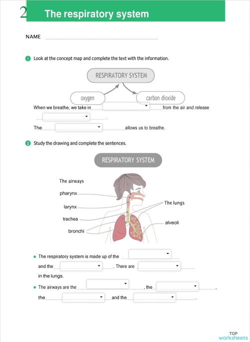 ´Review Science U2 6th grade. Interactive worksheet | TopWorksheets