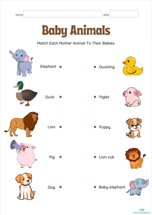 baby animal. Interactive worksheet | TopWorksheets