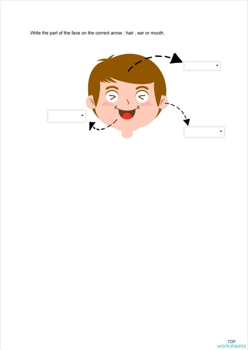 PARTS OF THE HEAD. Interactive worksheet | TopWorksheets