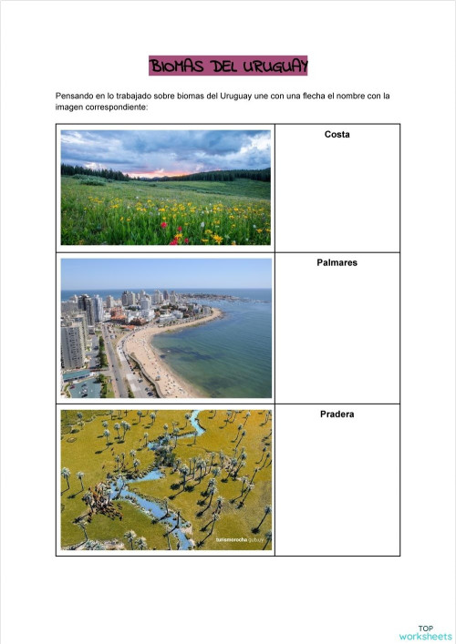 Biomas Del Uruguay Ficha Interactiva Topworksheets - Vrogue. Biomas Del Uruguay Ficha Interactiva Topworksheets - Vrogue.