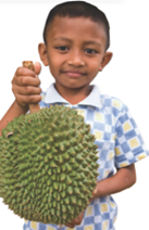 The Final Test. Interactive worksheet | TopWorksheets