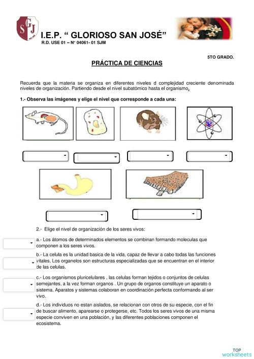 Ciencias 5to. Ficha interactiva | TopWorksheets