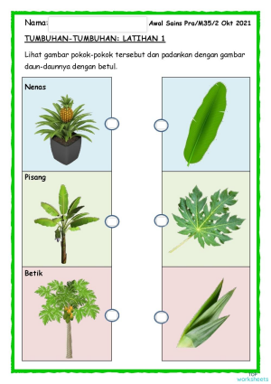 LATIHAN TUMBUH-TUMBUHAN & BAHAGIAN POKOK BUNGA. Interactive worksheet ...