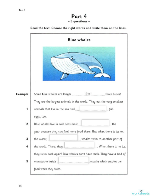 ES4 - MOVERS READING PART 2. Interactive worksheet | TopWorksheets