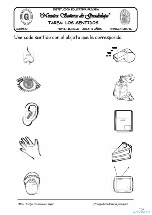 LOS SENTIDOS. Ficha interactiva | TopWorksheets