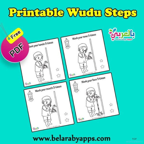 Activity -WUDU-STEPS-PDF-COLORING-BOOK. Interactive worksheet ...