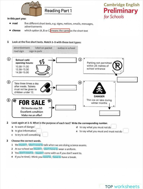 Pet Reading part 1 Training. Interactive worksheet | TopWorksheets