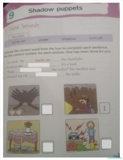 ARC-3 (Unit 9 Page 37 Shadow Puppets). Interactive worksheet | TopWorksheets