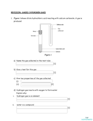 GASES- HYDROGEN (REVISION). Interactive worksheet | TopWorksheets