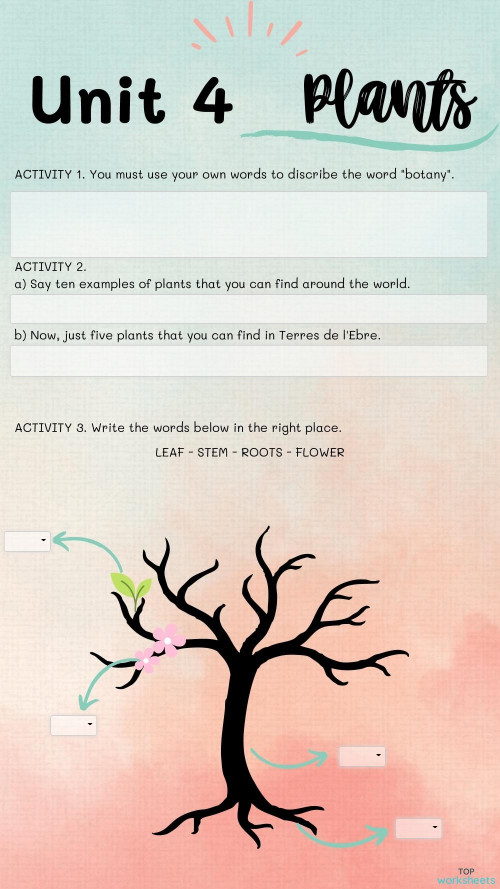 English Exam about Plants. Interactive worksheet | TopWorksheets