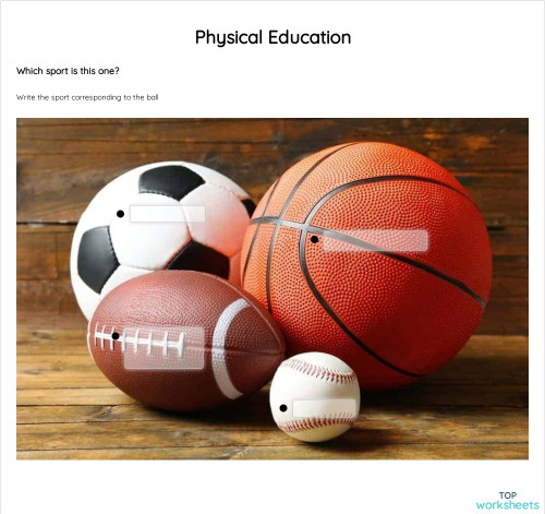 Types of Balls. Interactive worksheet | TopWorksheets