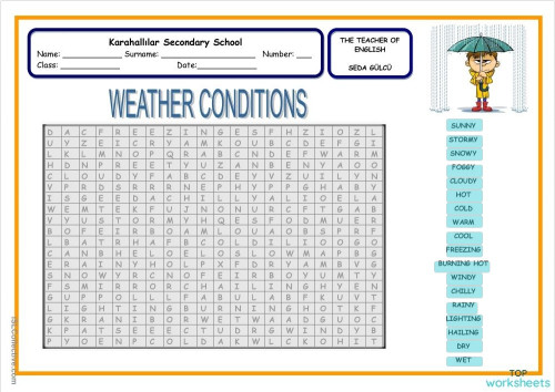 WEATHER CONDITIONS. Interactive worksheet | TopWorksheets