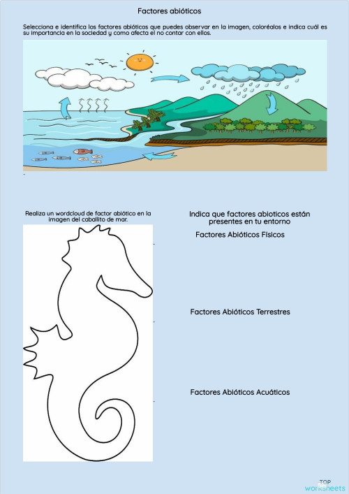 Factores abióticos. Ficha interactiva | TopWorksheets