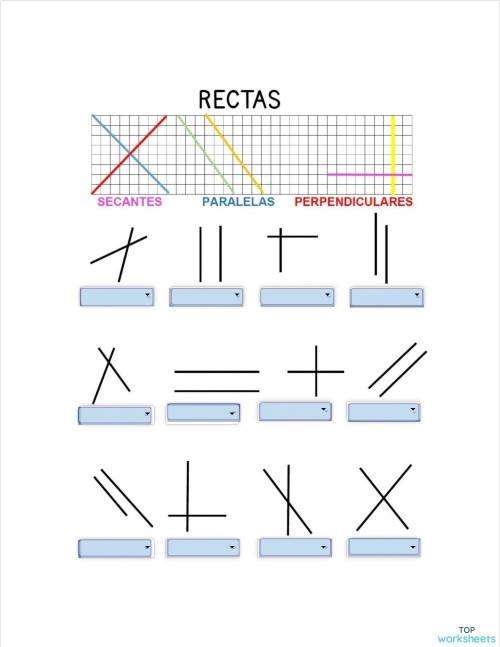 RECTAS: fichas interactivas y ejercicios online | TopWorksheets