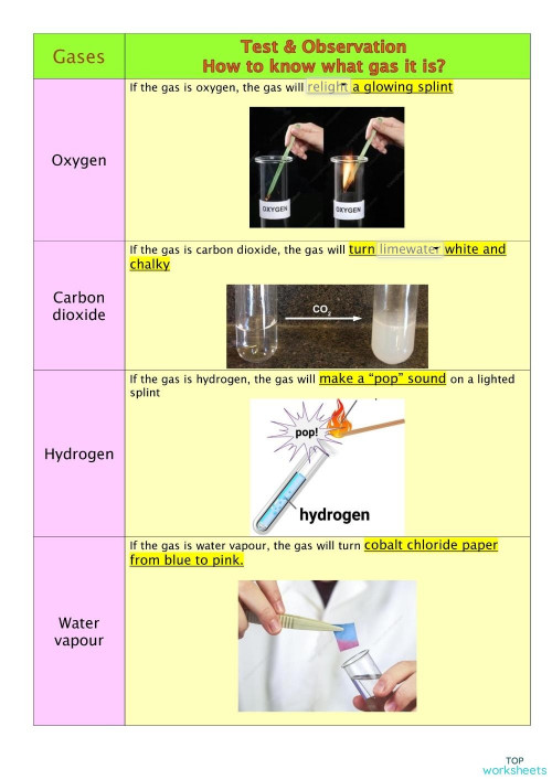 Testing for gases. Interactive worksheet | TopWorksheets