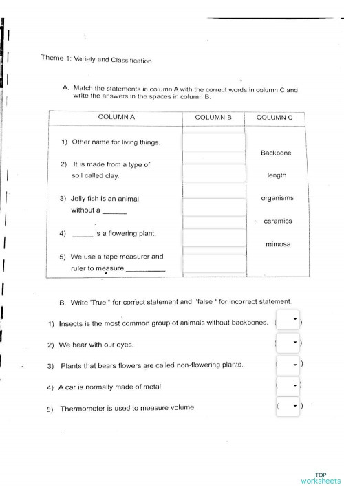 Y4: Topical Test 1 - Living Things & Non-Living Things ; Classifying ...