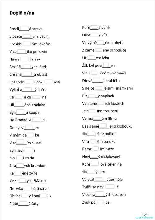 zdvojené souhlásky. Interaktivní pracovní list | TopWorksheets