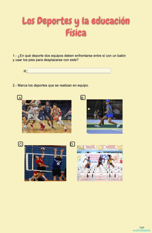 Los deportes y la educación Física.. Ficha interactiva | TopWorksheets