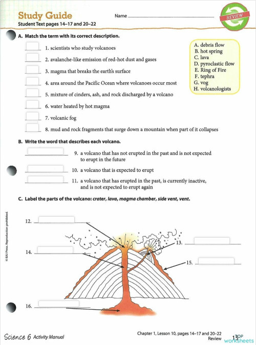 Review: Study Guide Pg 15-16. Interactive worksheet | TopWorksheets