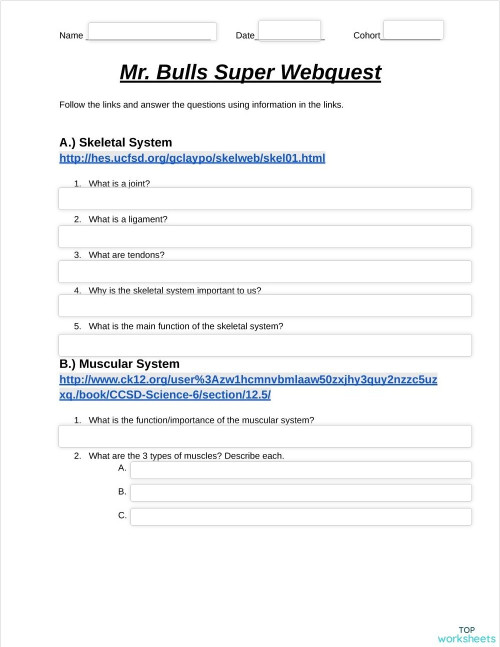 Mr. Bulls Super Webquest. Interactive worksheet | TopWorksheets