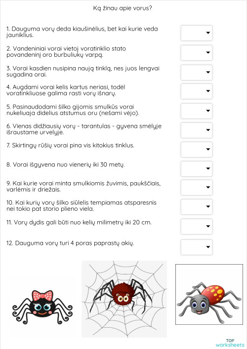 Ką žinau apie vorus?. Interactive worksheet | TopWorksheets