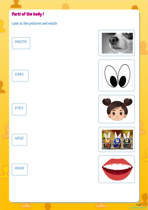 PARTS OF THE BODY. Interactive worksheet | TopWorksheets