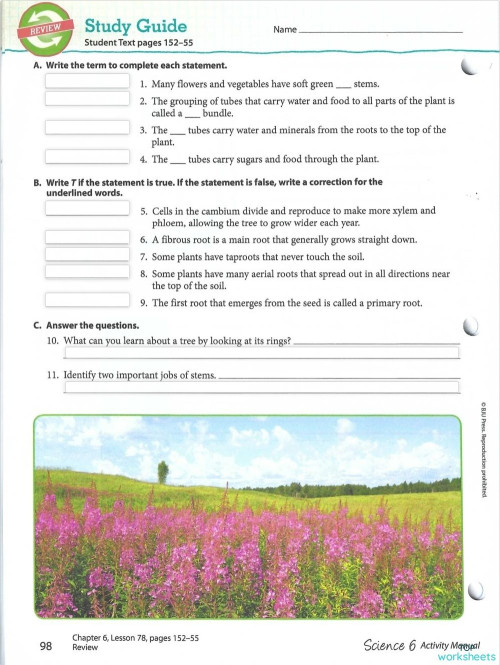 Lesson 78: Study Guide Pg 98. Interactive worksheet | TopWorksheets