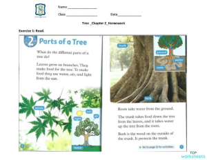 Homework_Tree_Chapter 2_Oct 29. Interactive worksheet | TopWorksheets