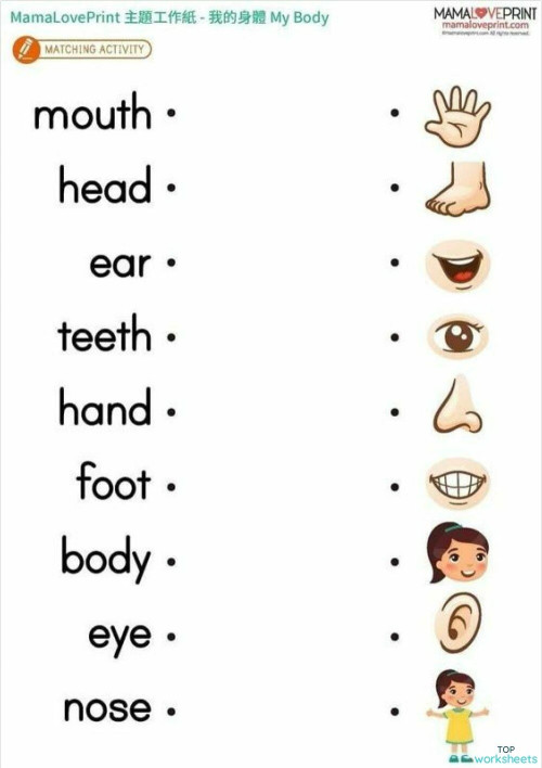 Body Parts. Interactive worksheet | TopWorksheets