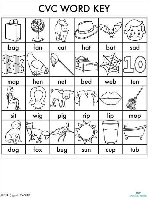 CVC Digraphs Blends Practice. Interactive worksheet | TopWorksheets