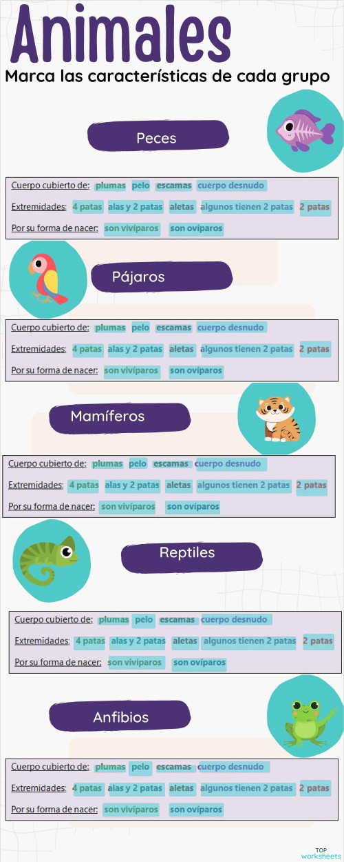 ANIMALES CARACTERÍSTICAS. Ficha interactiva | TopWorksheets